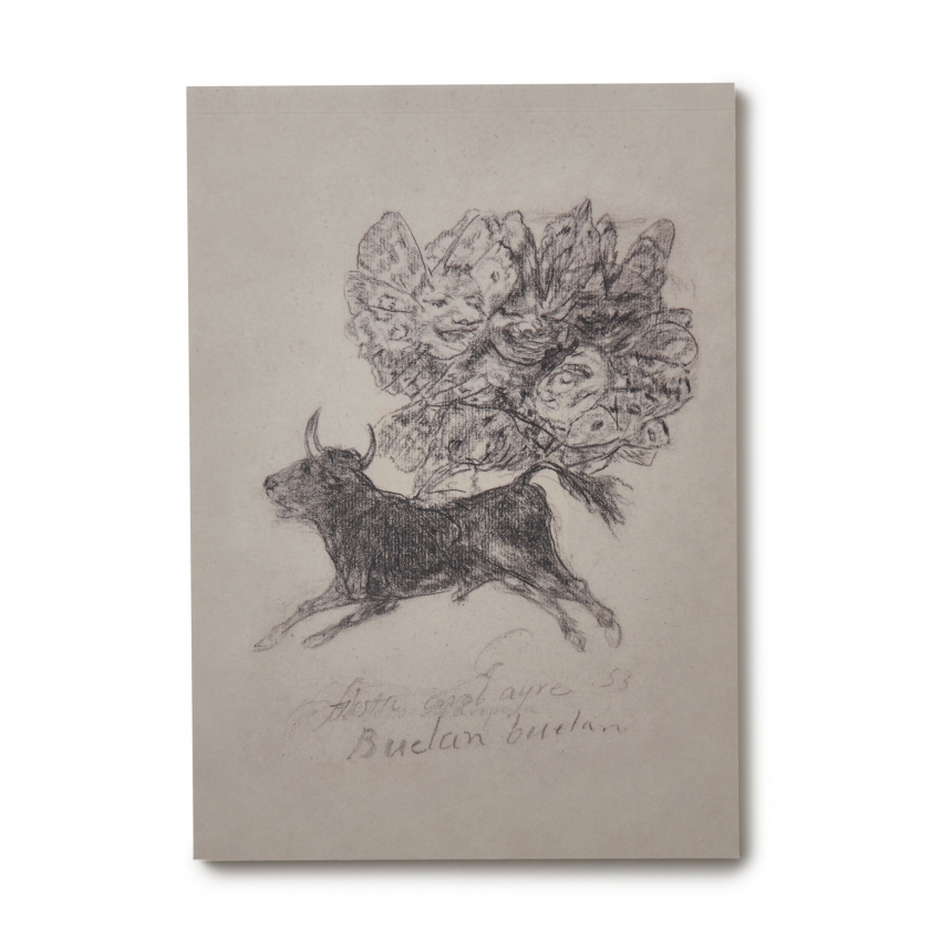 Dibujo De Toro Las Mejores 15 Ideas De Toro Vector | Toro Vector,